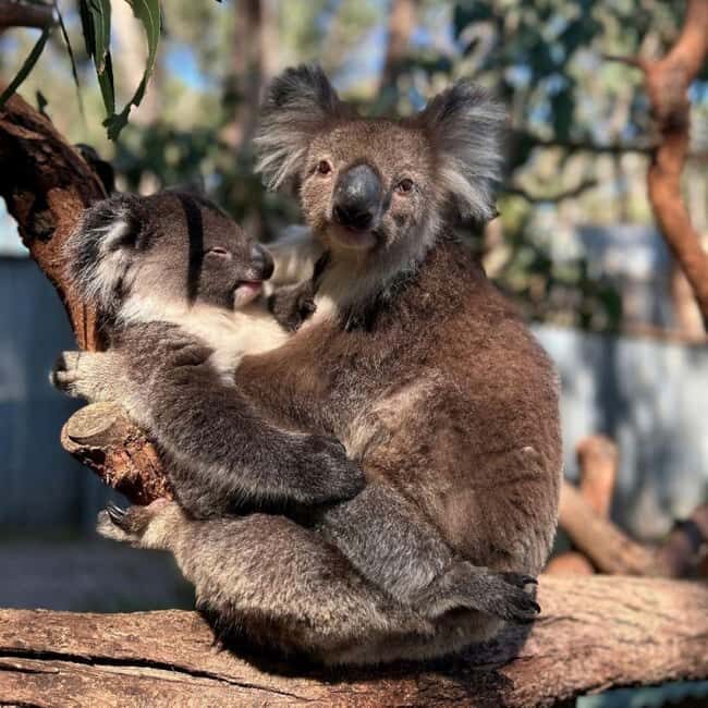 Tynong/Melbourne: Gumbuya World Theme Park Entry Ticket - What Makes Gumbuya World Stand Out