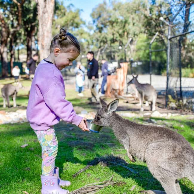 Tynong/Melbourne: Gumbuya World Theme Park Entry Ticket - Who Should Visit Gumbuya World