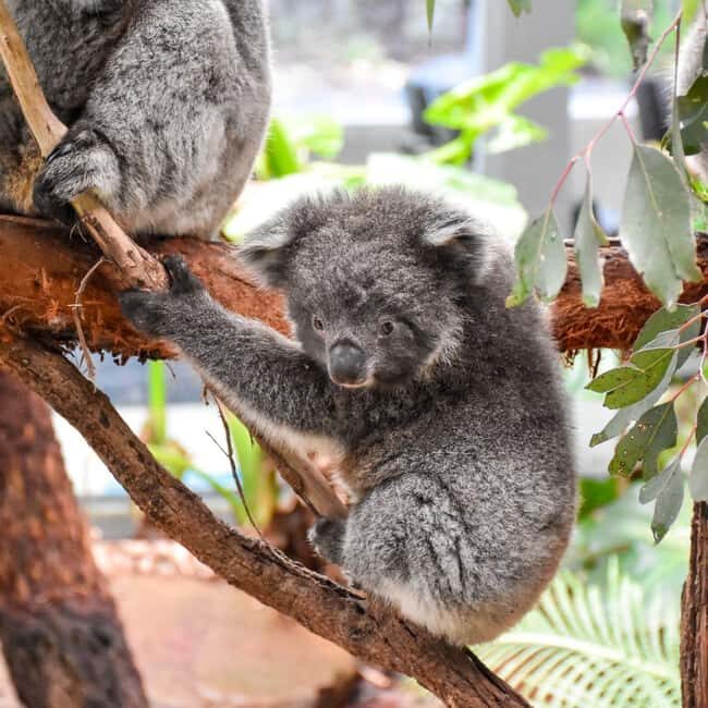 Tynong/Melbourne: Gumbuya World Theme Park Entry Ticket - FAQ