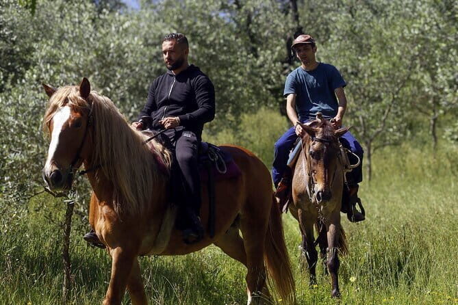Typical Dining & Cooking Demo at Local's Home in Florence - The Sum Up: Is It Worth It?