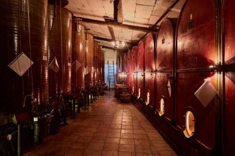 Typical experience in Monferrato: winery tour, tasting, and lunch - Discovering Monferrato: A Wine and Food Experience Worth Booking