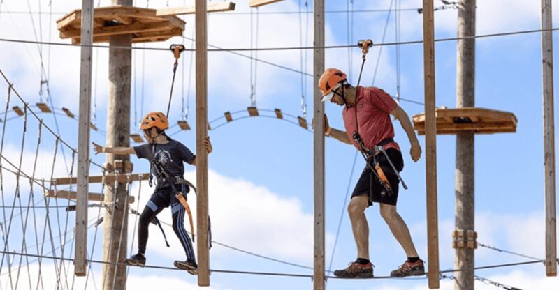 Tyroparc: La Cité des Bois Obstacle Course in Laurentians - What to Expect from Your Visit
