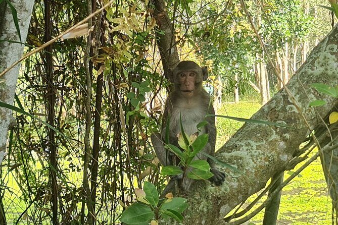 U Minh Thuong Forest and Pineapple Villages - Key Points