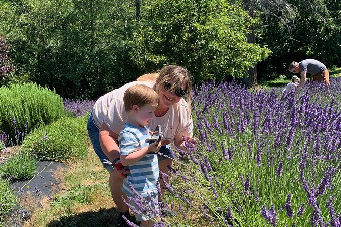 U-Pick Lavender Experience on Bainbridge Island - Final Thoughts: Is It Worth It?