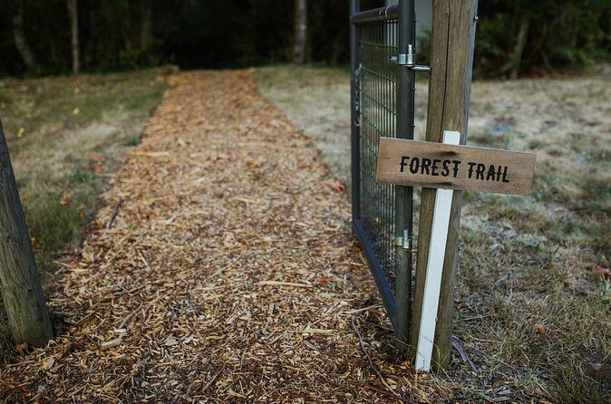U-Pick Lavender Experience on Bainbridge Island - FAQ About the U-Pick Lavender Experience