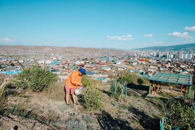 UB Walk: Discover a Side of Ulaanbaatar Most Travelers Miss - The Sum Up