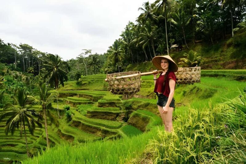 Ubud: 3-Day Tour with Sacred Monkey Forest Sanctuary. - Key Points