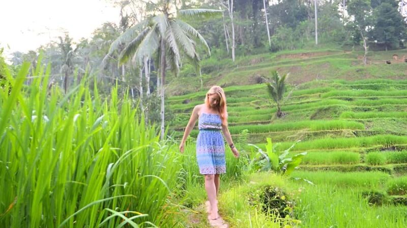 Ubud: 3-Day Tour with Sacred Monkey Forest Sanctuary. - The Itinerary in Detail
