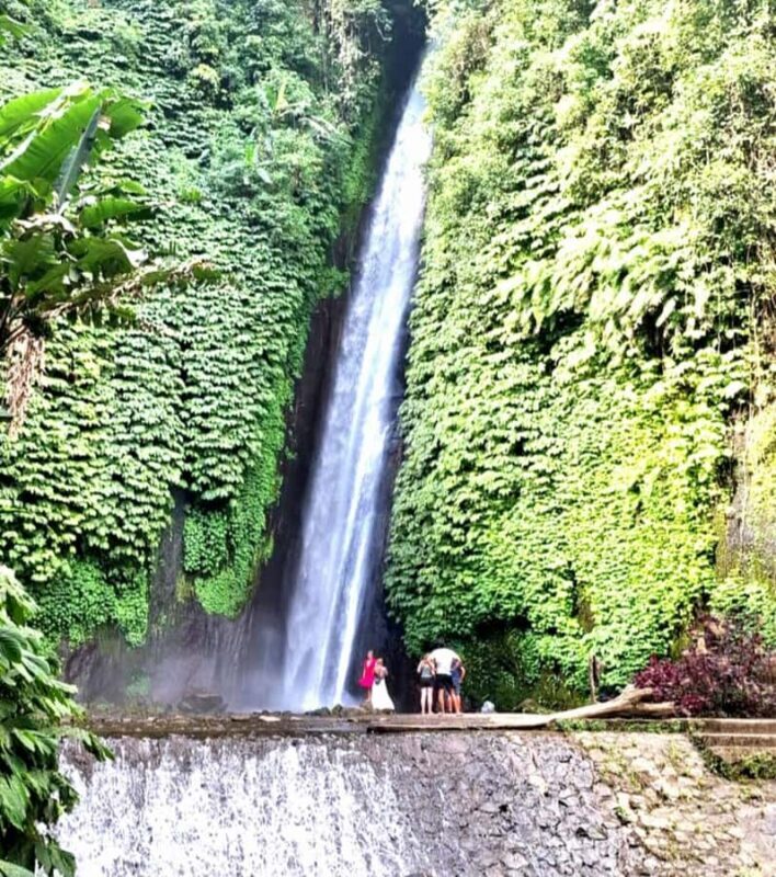 Ubud: 3-Day Tour with Sacred Monkey Forest Sanctuary. - The Sum Up