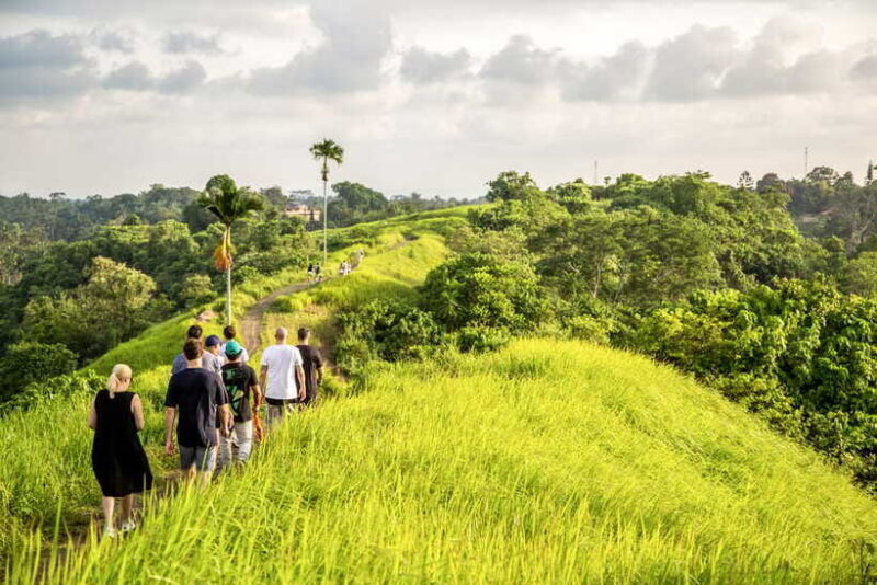 Ubud: 3-Hour Walking Tour with Lunch - The Sum Up: Is This Tour Worth It?