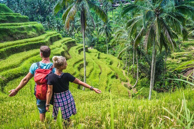 Ubud Adventure All Inclusive Private Day Tour - Why This Tour Might Be Perfect for You