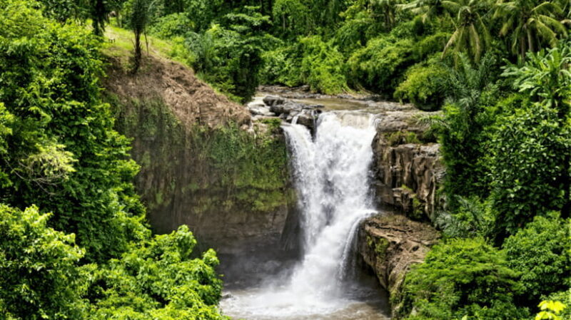 Ubud Adventure: ATV Thrills, Monkey Encounters, & Waterfall - Why Choose This Tour? The Real Value