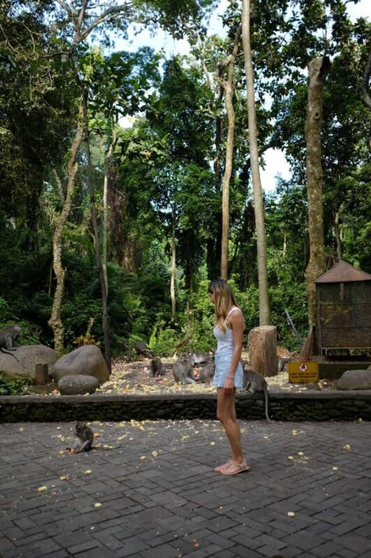 Ubud Adventure: Monkey Forest, Rice Terraces & Waterfalls - Key Points