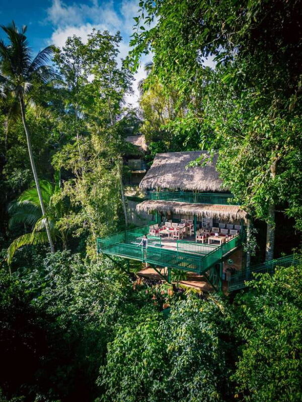 Ubud: Alas Harum Day-Pass, Swing, Sky Bike & Flying Fox - Key Points