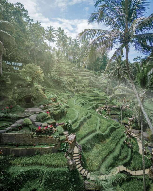 Ubud: Alas Harum Day-Pass, Swing, Sky Bike & Flying Fox - What’s Included and What’s Not