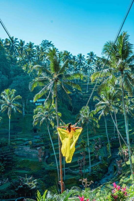 Ubud: Alas Harum Day-Pass, Swing, Sky Bike & Flying Fox - Who Will Love This Tour?