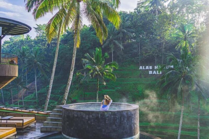 Ubud: Alas Harum, Temple, and Waterfall - Private Tour - Key Points