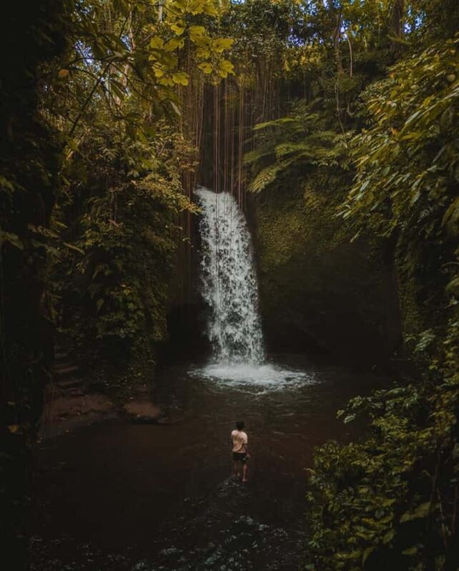 Ubud: Alas Harum, Temple, and Waterfall - Private Tour - FAQ