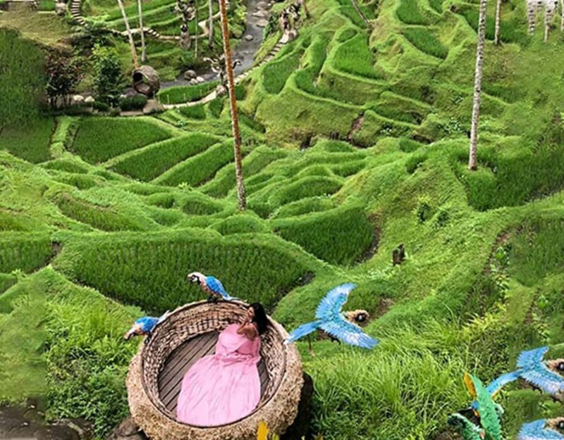 Ubud: Alas Harum, Tirta Empul, Tukad cepung, Dedari - A Closer Look at the Itinerary