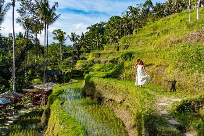 Ubud All-Inclusive Tour with Swing and Lunch - Key Points