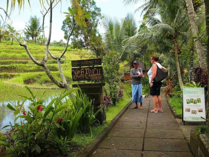 Ubud Ancient Wonders: Goa Garba, Cliff Temple & Yeh Pulu - Discovering Bali’s Hidden Heritage: An Overview