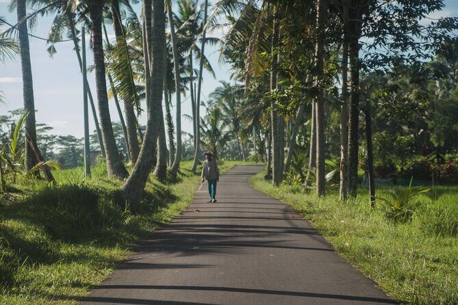 Ubud Art, Monkey Forest and Rice Terrace Tour - Final Thoughts