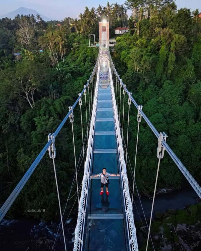Ubud: Art & Nature Tour with Waterfall and Glass Bridge - A Comprehensive Look at the Ubud Art & Nature Tour