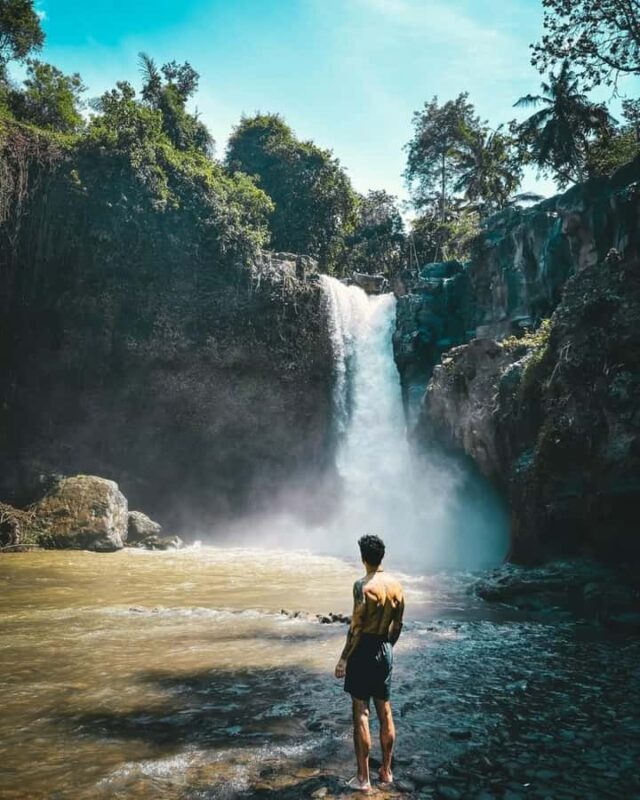 Ubud: Art & Nature Tour with Waterfall and Glass Bridge - Who Will Love This Tour?