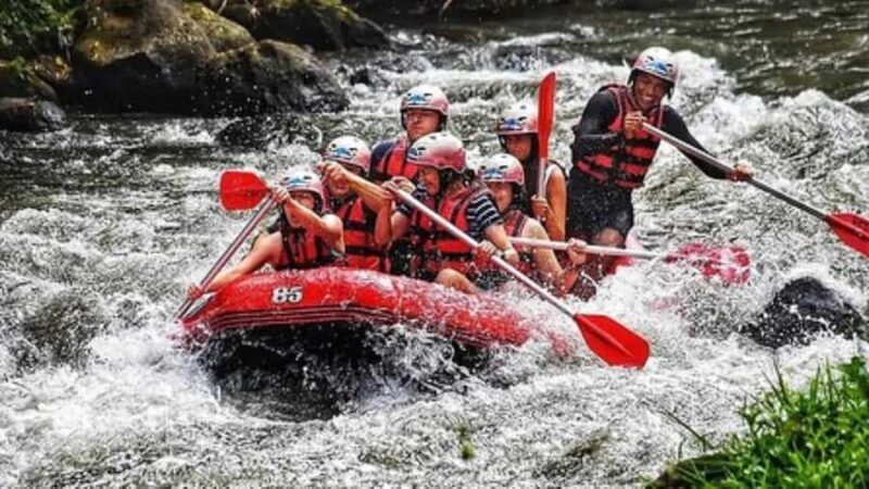 Ubud: ATV Jungle Buggy Ride and White Water Rafting in Bali - An In-Depth Look at the Tour
