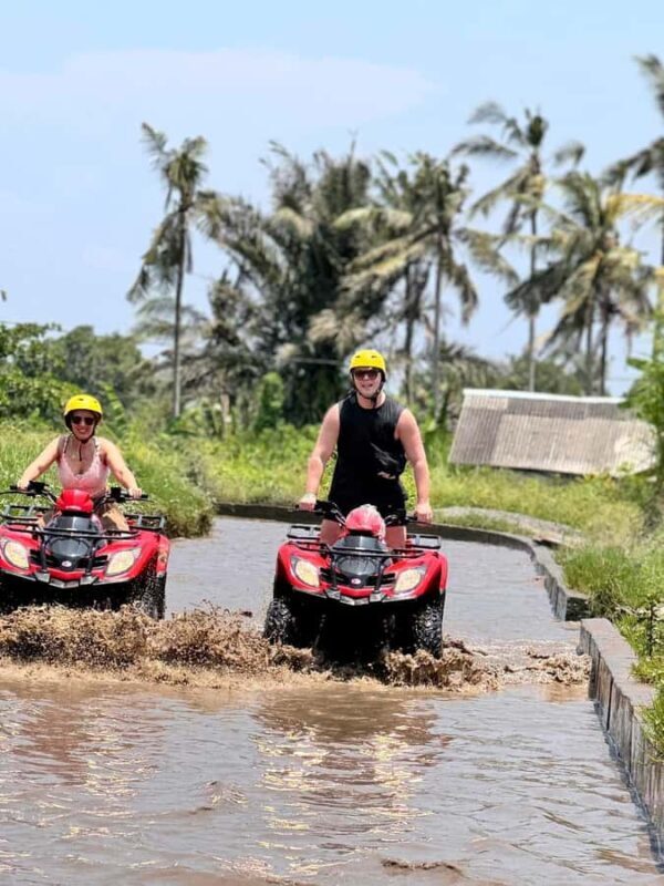 Ubud: ATV Quad Bike Adventure Jungle, River & Rice Fields - Exploring Bali’s Countryside on a Quad Bike