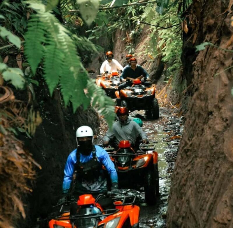 Ubud ATV Quad Bike Adventure With Lunch - Who Will Enjoy This Tour?