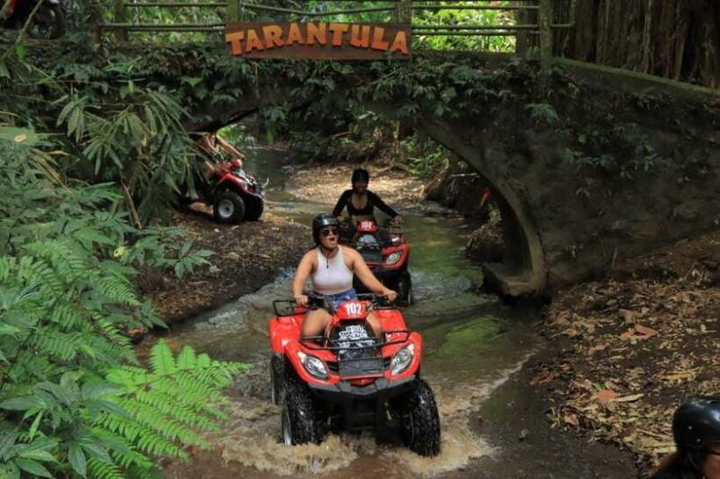 Ubud: ATV QUAD BIKE ADVENTURES - The Sum Up: Who Should Book This?