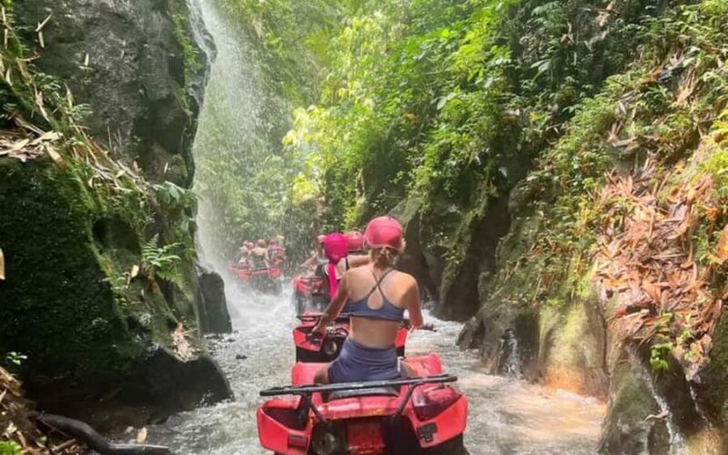 Ubud: ATV Quad Bike, Jungle Swing & Coffee Plantation - An In-Depth Look at the Tour Itinerary