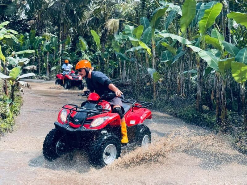 Ubud: ATV Quad Bike & Zip-Line Adventure with Meal - Exploring Balis Natural Beauty on Two Wheels and in the Sky