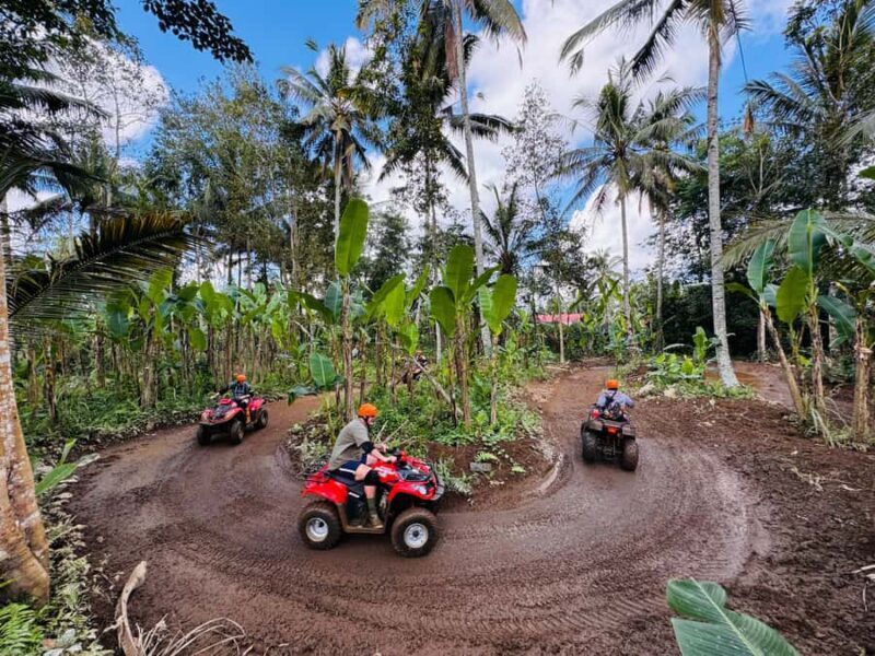 Ubud: ATV Quad Bike & Zip-Line Adventure with Meal - Final Thoughts