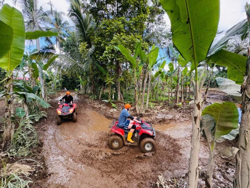 Ubud: ATV Quad Biking, Temple & Tibumana Waterfall Tour - Key Points