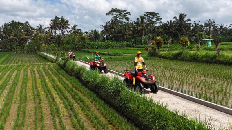 Ubud: ATV Quad Biking, Temple & Tibumana Waterfall Tour - FAQs