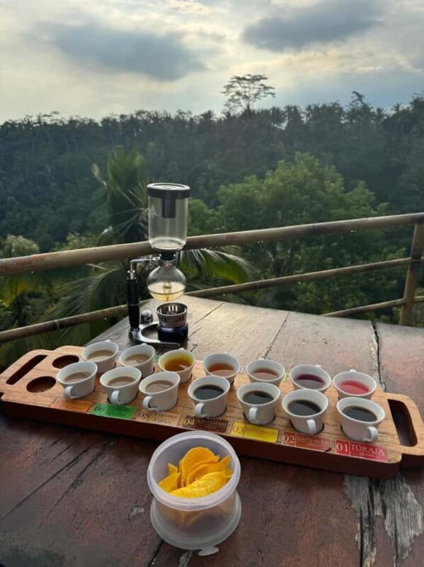 Ubud: ATV Ride, Holy water Temple, and Coffee Tasting - Key Points