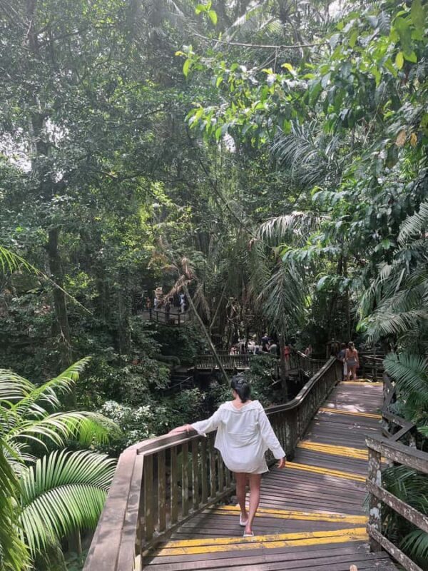 Ubud: ATV Ride, Monkey Forest, and Tegalalang Rice Terrace - Final Thoughts
