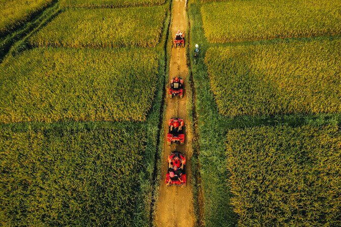 Ubud ATV Ride through River Jungle Rice Fields Puddles - The Sum Up: Who Will Love This Tour?