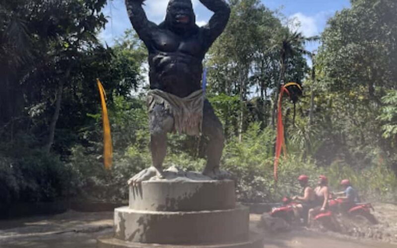 Ubud: ATV Ride with Optional Hotel Transfers - Pricing and Value