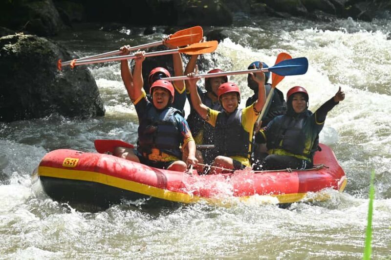 Ubud: Ayung River Guided Rafting Adventure with Lunch - Price and Value