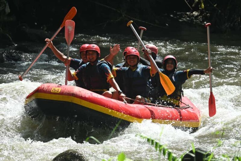 Ubud: Ayung River Guided Rafting Adventure with Lunch - Who Will Love This Tour?