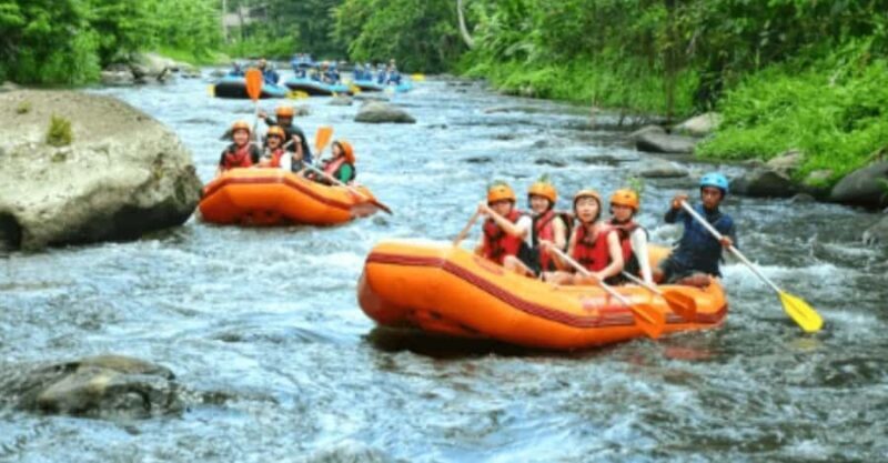 Ubud: Ayung River Rafting Adventure with Lunch and Transport - Key Points
