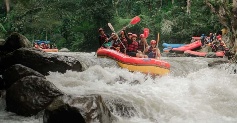 Ubud: Ayung River Rafting Adventure with Lunch and Transport - An Honest Look at the Ubud Ayung River Rafting Experience