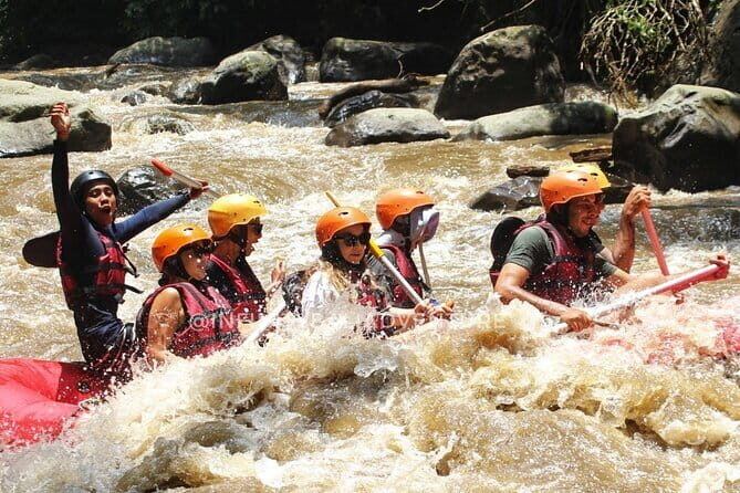 Ubud Ayung River Rafting with Hotel Transfer and Lunch - The Itinerary in Detail: What to Expect
