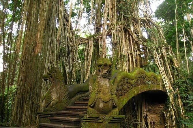 Ubud Bali Art and Culture Tour - Who is This Tour Best For?