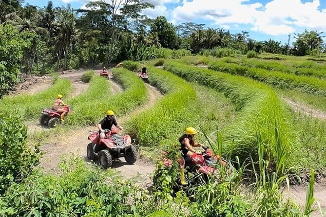 Ubud Bali ATV Quad Bike Adventure - The Value and Who Will Love It