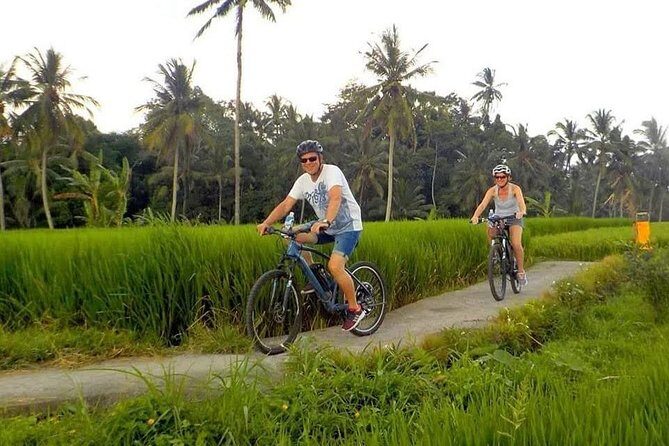 Ubud Bali Cycling Tour - Key Points