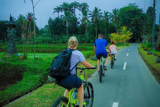 Ubud Bali Cycling Tour - What do travelers think?